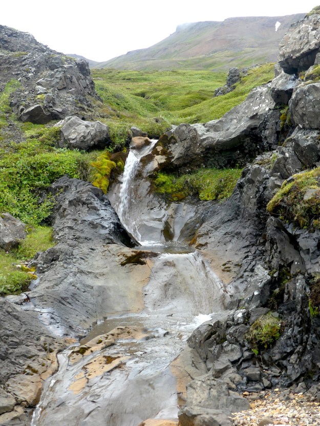 Thinking Before Thinking, a Surprise Meeting with the Elves | A Farm in ...